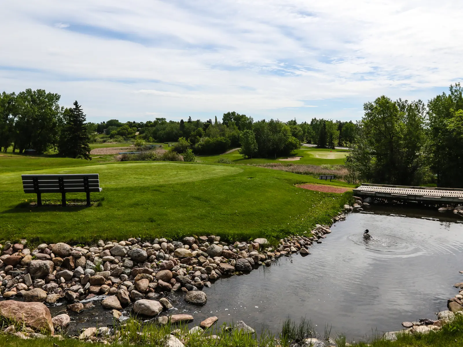 Golf Course | City of Camrose