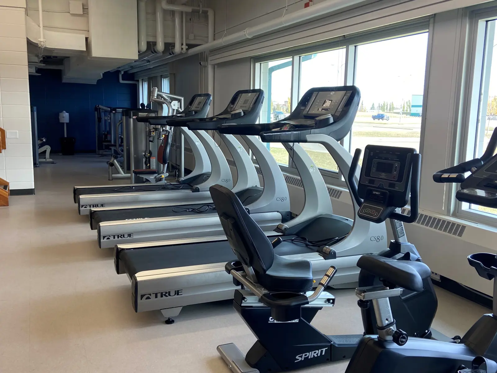 Aquatics and Swimming | City of Camrose