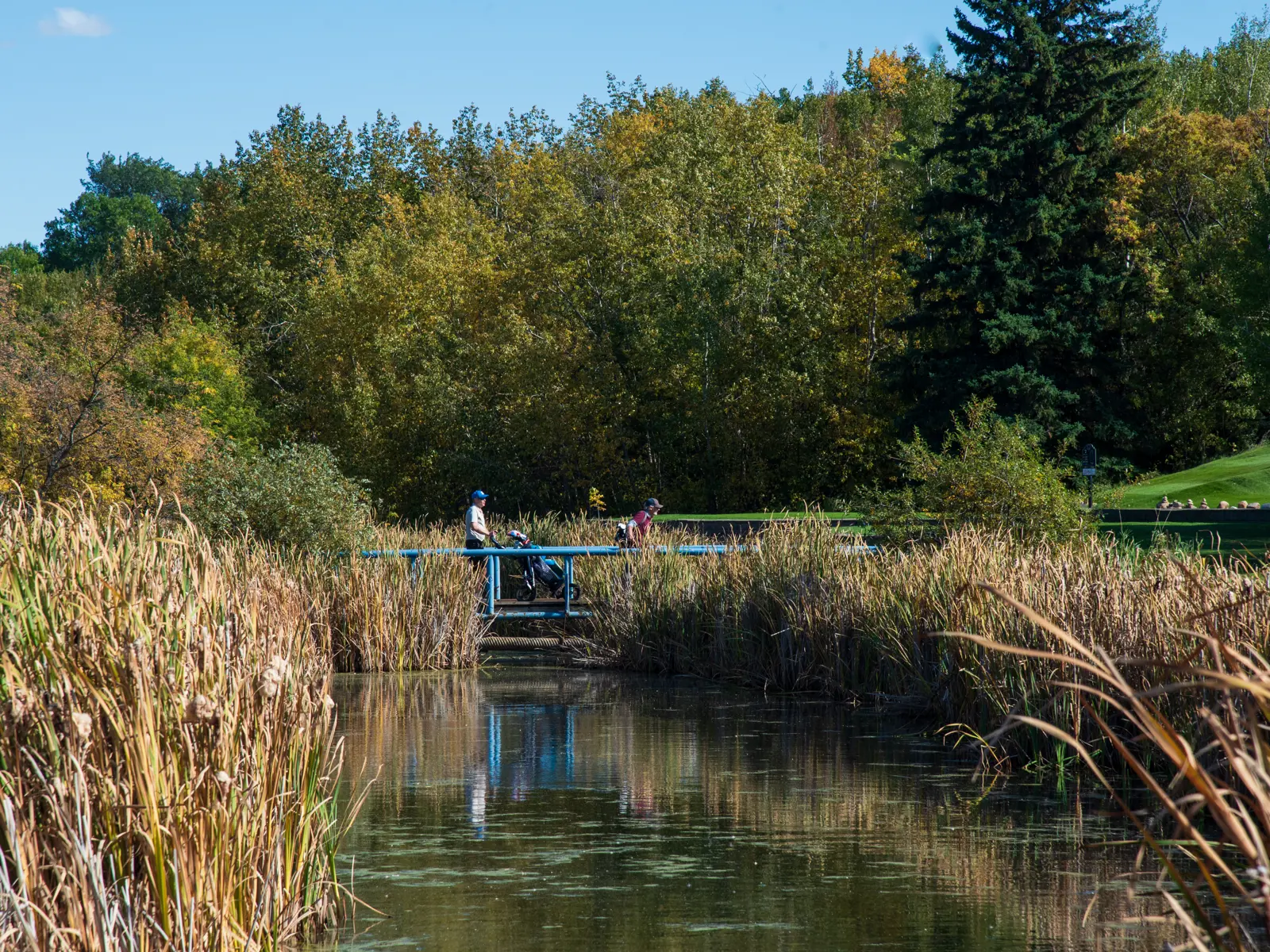 Golf Course | City of Camrose