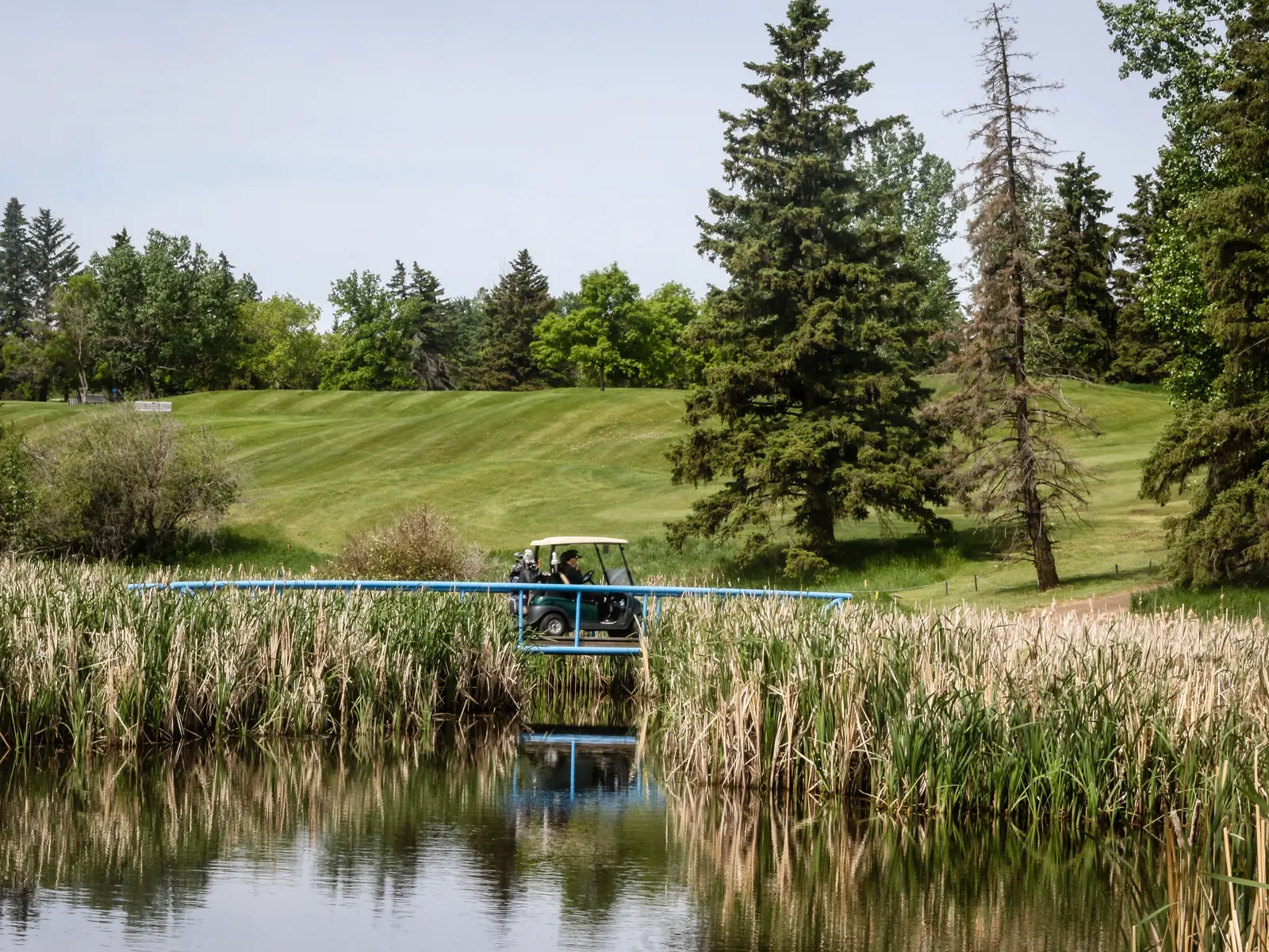 Golf Course | City of Camrose